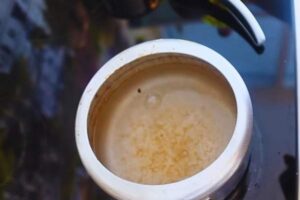 How To Clean Burnt Pressure Cookers - Home Art Guide